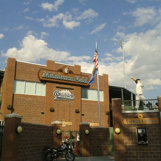 Melaleuca Field - 8 tips