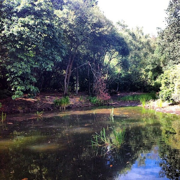 Harrow Weald Common - Old Redding