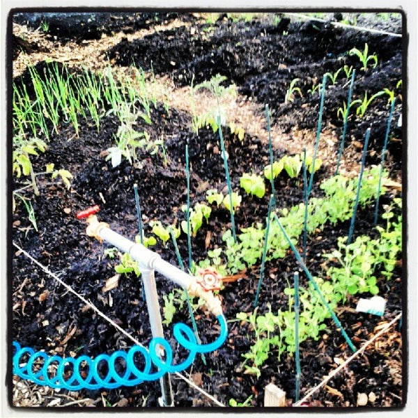 Photos at Ed Benedict Park - Park in Portland