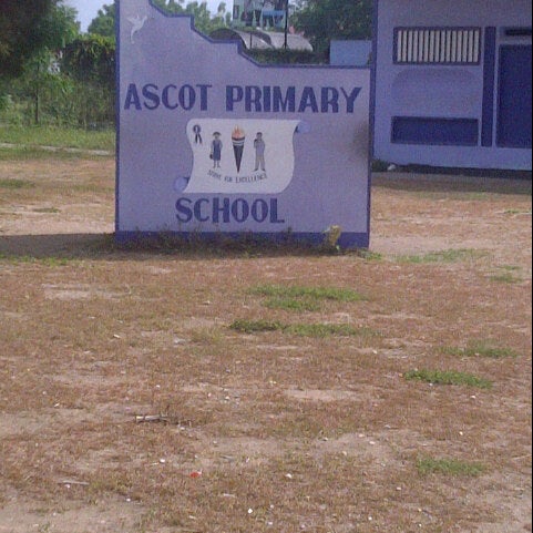 Ascot Primary School - 1 tip from 26 visitors