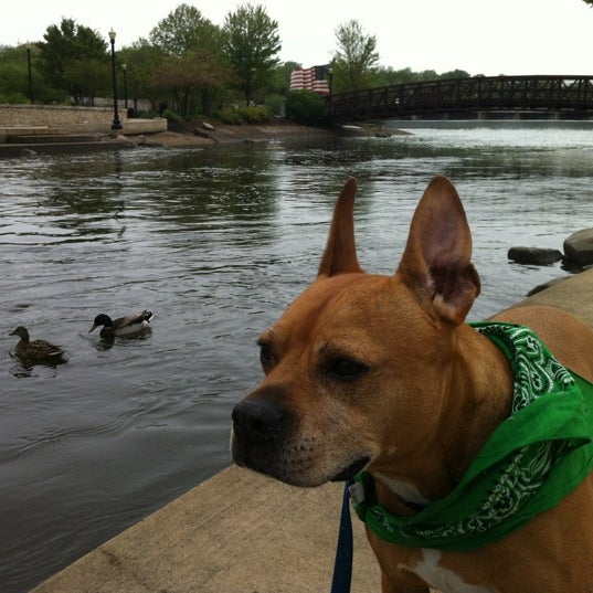Photos at Elgin Riverwalk - Downtown Elgin - 7 tips from 278 visitors