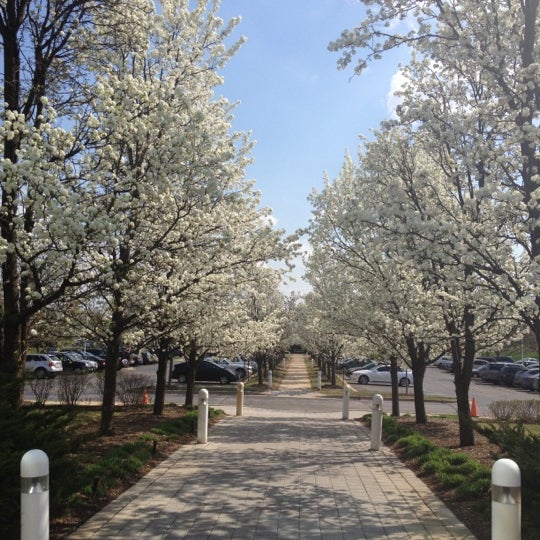 TCF Bank - Burr Ridge, IL