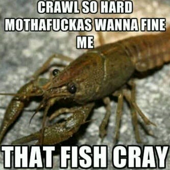 Photos at St. George's Senior School - Education in Dunbar-Southlands