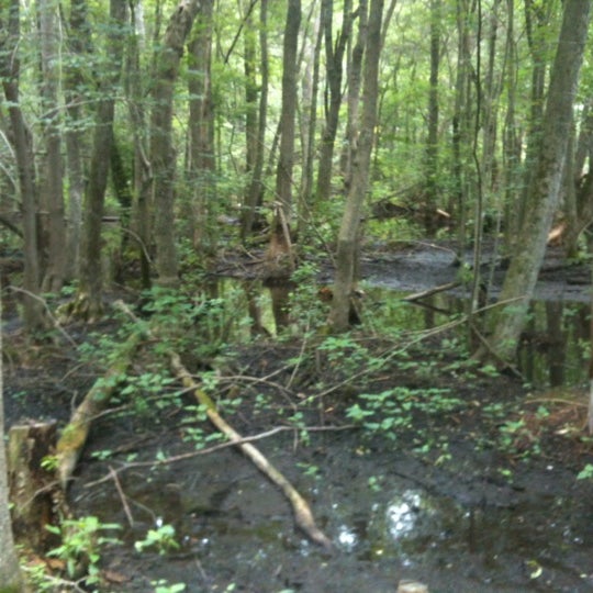 Abbott's Mill Nature Center - Milford, DE