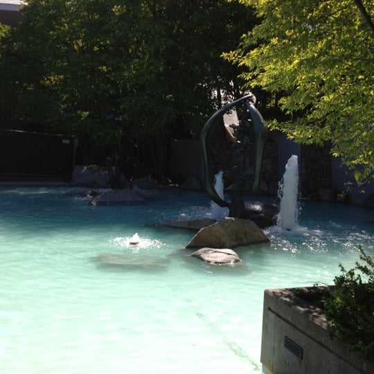 Seattle center wading pool - Lower Queen Anne - 2 tips
