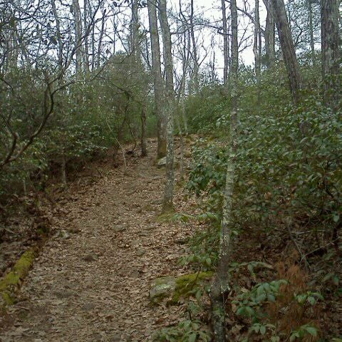 Ross' Cliffs - Danielson, CT