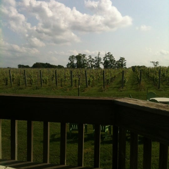 Photos at Va La Vineyards - 9 tips