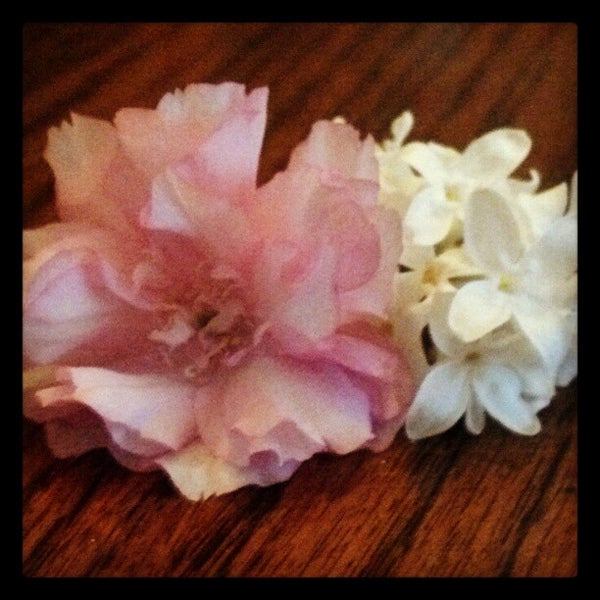 Cub Run Stream Valley - Park in Centreville