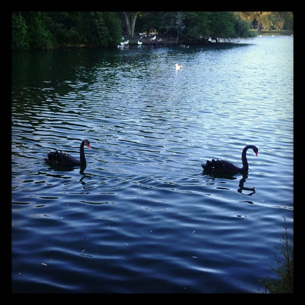 Western Springs Park - Western Springs - 731 Great North Rd