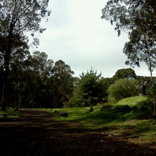 Photos at Golden Gate Park Disc Golf Course - Golden Gate Park - 18 ...