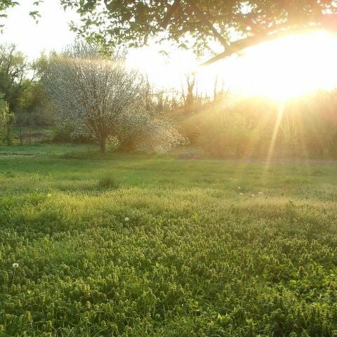 EarthDance Farm - Farm in Ferguson
