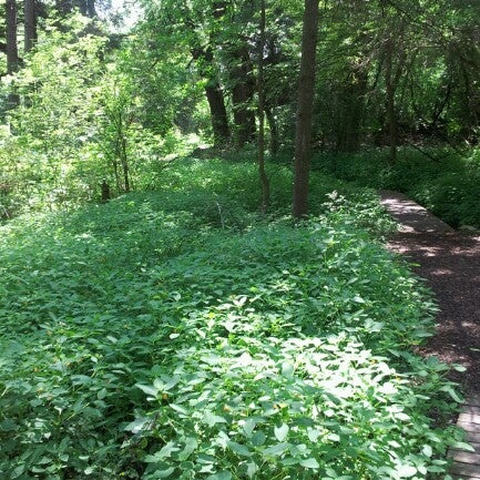 Retzer Nature Center - Waukesha, WI