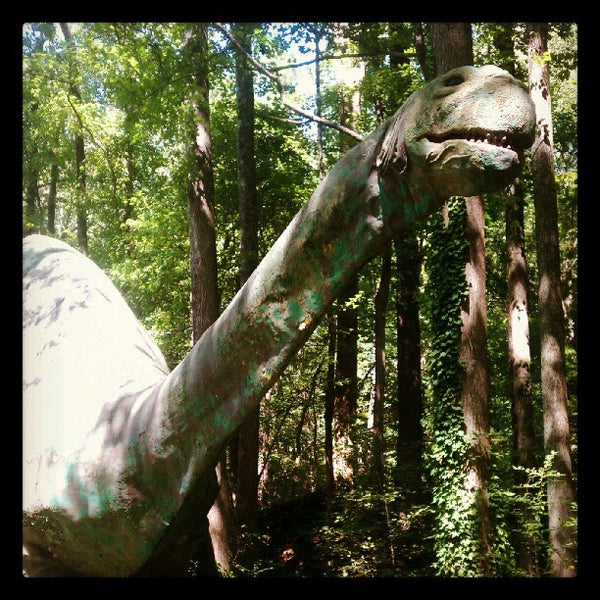 NCMLS Old Brontosaurus - 1 tip from 96 visitors
