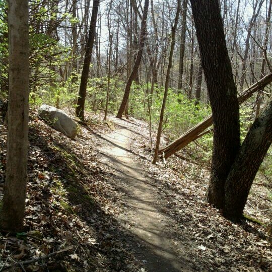 Pinckney State Recreation Area - State / Provincial Park