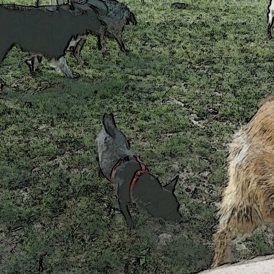 Photos at Mark Twain Park - 5 tips