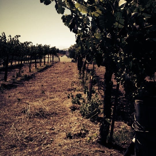 Palumbo Family Winery - Winery in Temecula