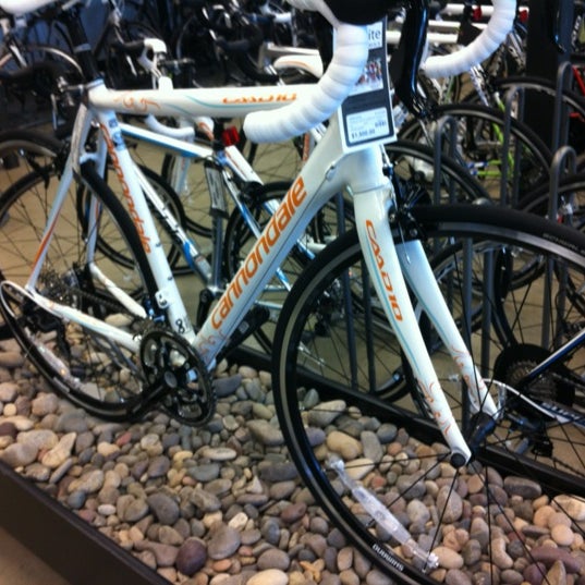 Infinite Cycles - Bicycle Store