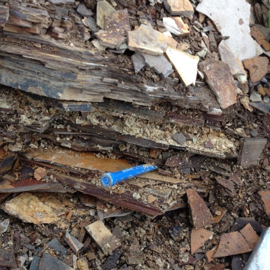 Stonerose Fossil Site - Science Museum