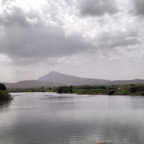 Golden Exotics Ltd - Farm in Asutuare