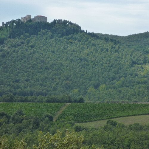 Castello di Montegiove - Winery