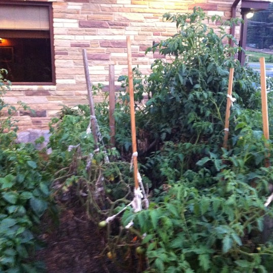 Photos at The Flaming Pit - Piano Bar in Gaithersburg