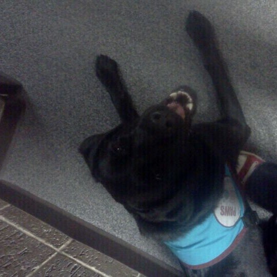 Photos at LCC Gannon Building - College Academic Building in Lansing