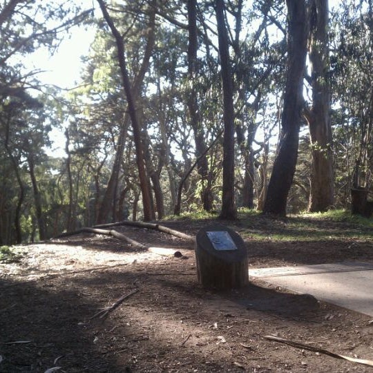 Photos at Golden Gate Park Disc Golf Course - Golden Gate Park - 18 ...