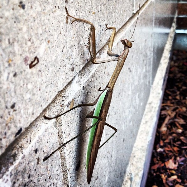 Hickory Point School - Elementary School