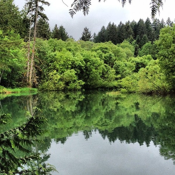 Henry Hagg Lake - Lake