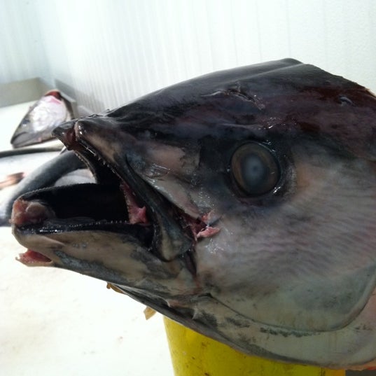 Photos at New Fulton Fish Market - 5 tips