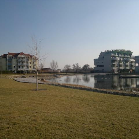 am Teich - Lake in Vienna