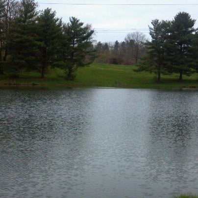 Photos at Patsy Hillman Park - Park in Hiller
