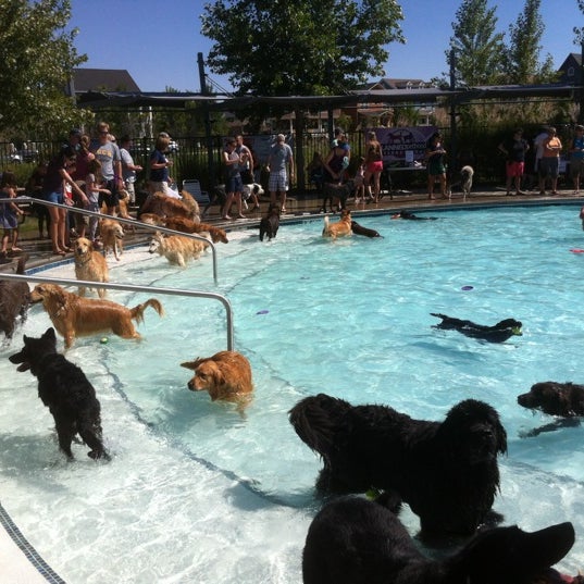 Photos at Stapleton F-15 pool - Swimming Pool in Stapleton