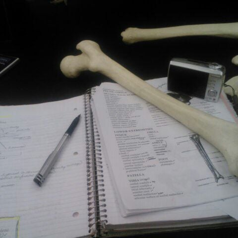 Photos at Behrakis Health Sciences Center - College Academic Building ...