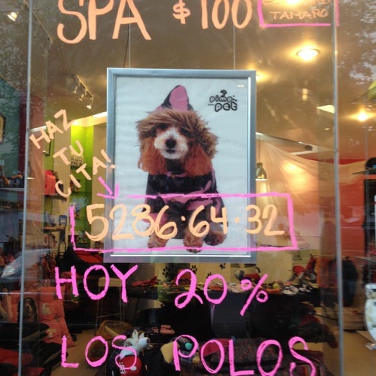 Pimp Your Pet - Pet Supplies Store in Hipódromo