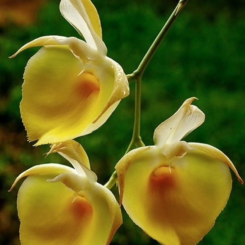 Photos at Palm Harbor University High School (PHUHS) - High School in ...