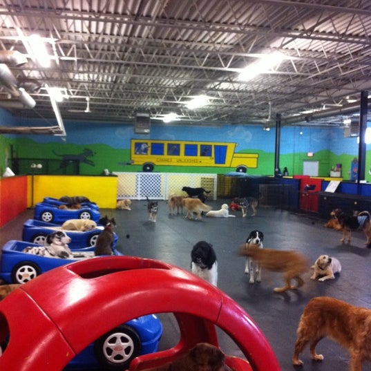 Canines Unleashed - Liverpool, NY