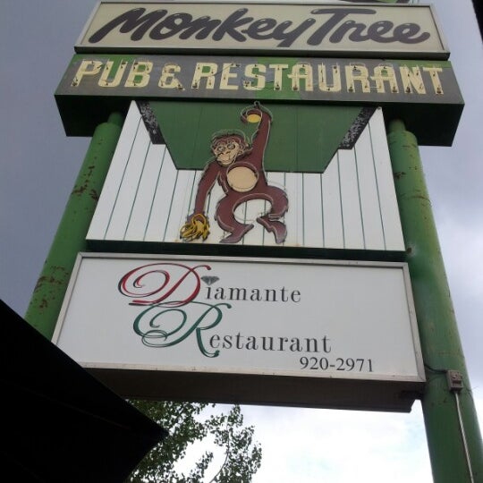 Sam's Monkey Tree - 483 Range Lake Rd