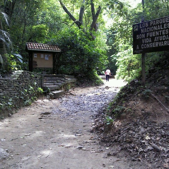 Sabas Nieves - Trail