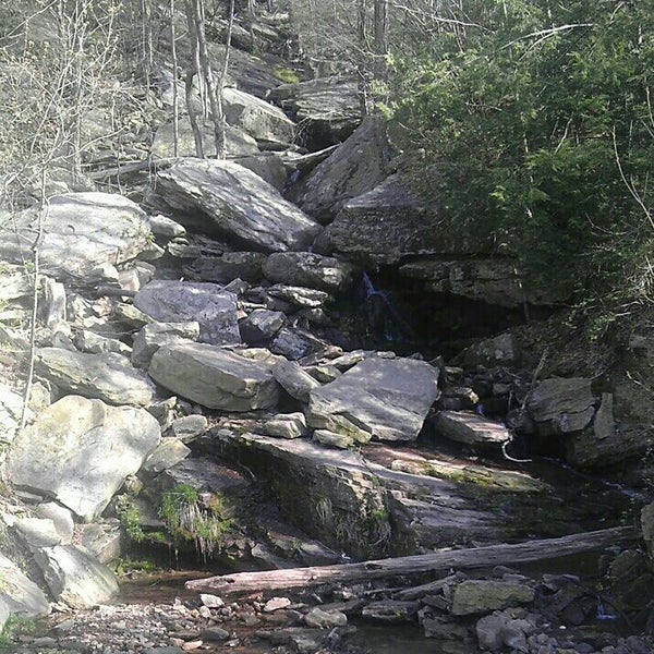 Back Mountain Trail - 1 tip from 91 visitors