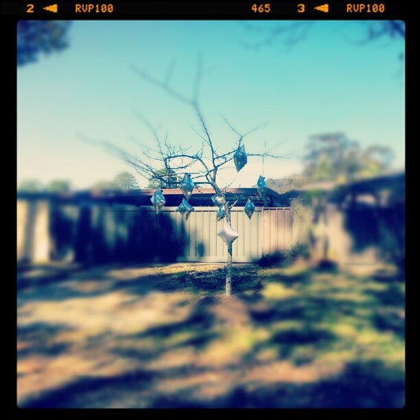 Point Clare Cemetery - Cemetery in Point Clare