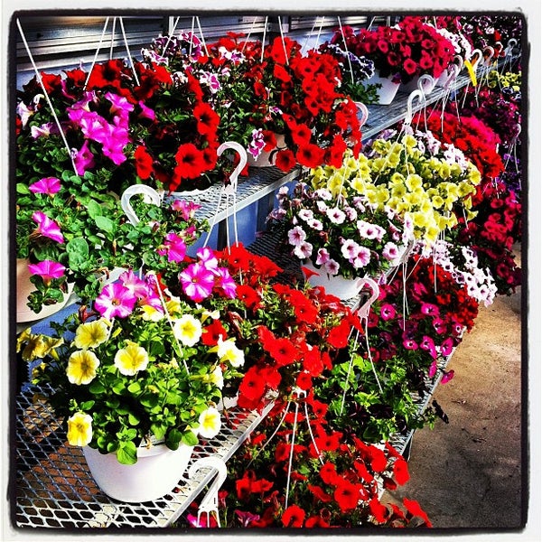 The Plant Place - Flower Store