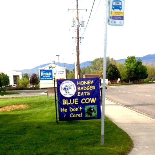 Blue Cow Frozen Yogurt - Dessert Shop