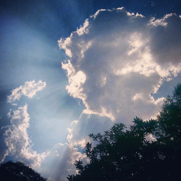 Talahi Island Dock Club - Harbor or Marina in Savannah