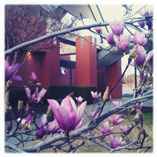 Photos at Maribelle M. Davis Library - Plano, TX