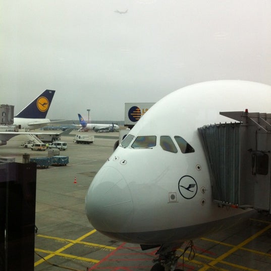 Photos at Lufthansa Flight LH 462 - Plane in Flughafen