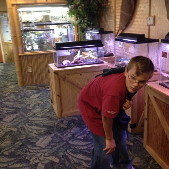 Seattle Bug Safari (Now Closed) - Pike Place - 2 tips from 79 visitors