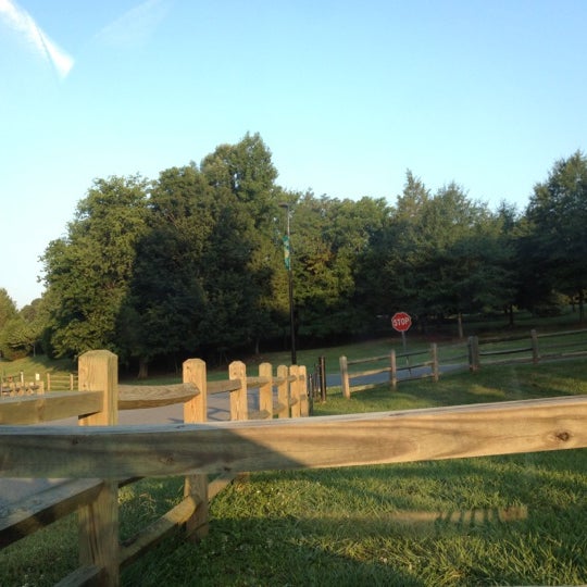 William R. Davie Park - Rain Tree - 8 tips from 650 visitors