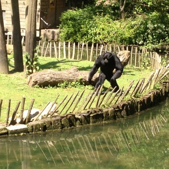 Parc Zoologique de Lille - Citadelle - Lille, Hauts-de-France