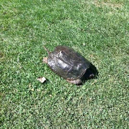 Battenkill Country Club - Greenwich, NY